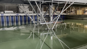 Wavepiston – Bringing wave energy to the world